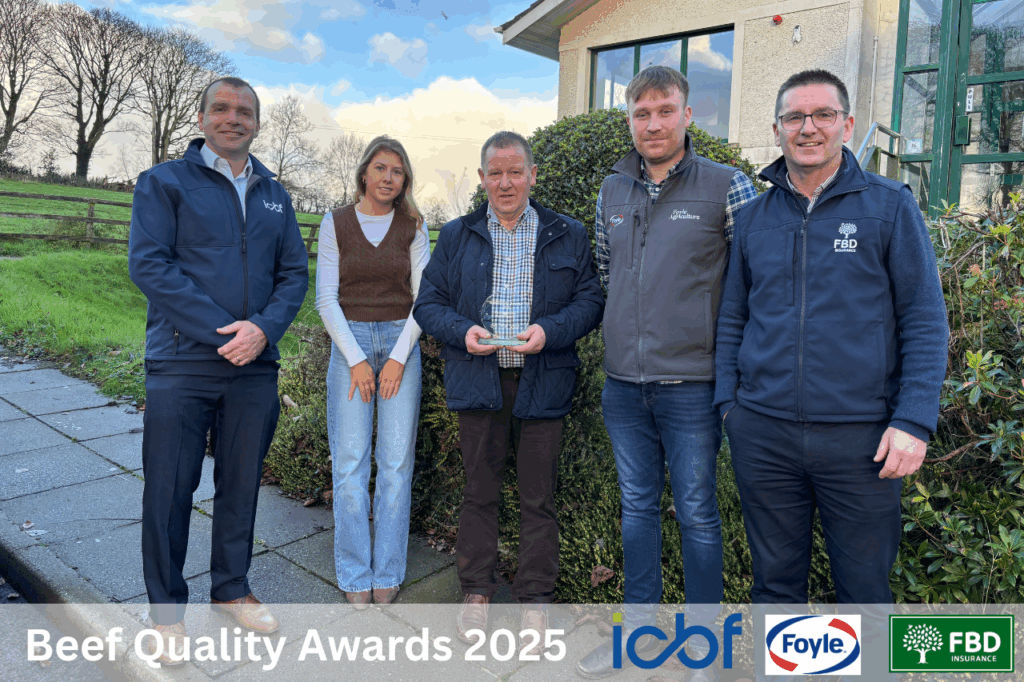 Welcome to ICBF, Ireland's centralised cattle breeding database