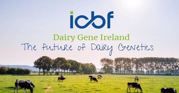 The Contribution of the Dairy Gene Ireland Programme to Genetic ...