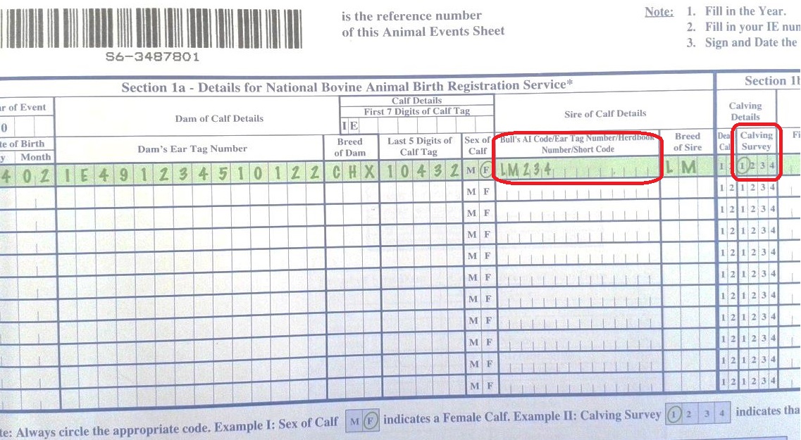 On-Farm Data Recording: A Farmer’s Guide - ICBF